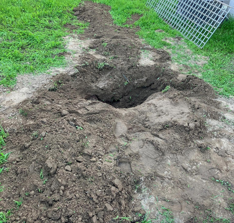 Winton man shoots, kills friend’s dog, forces him to bury pet at ...