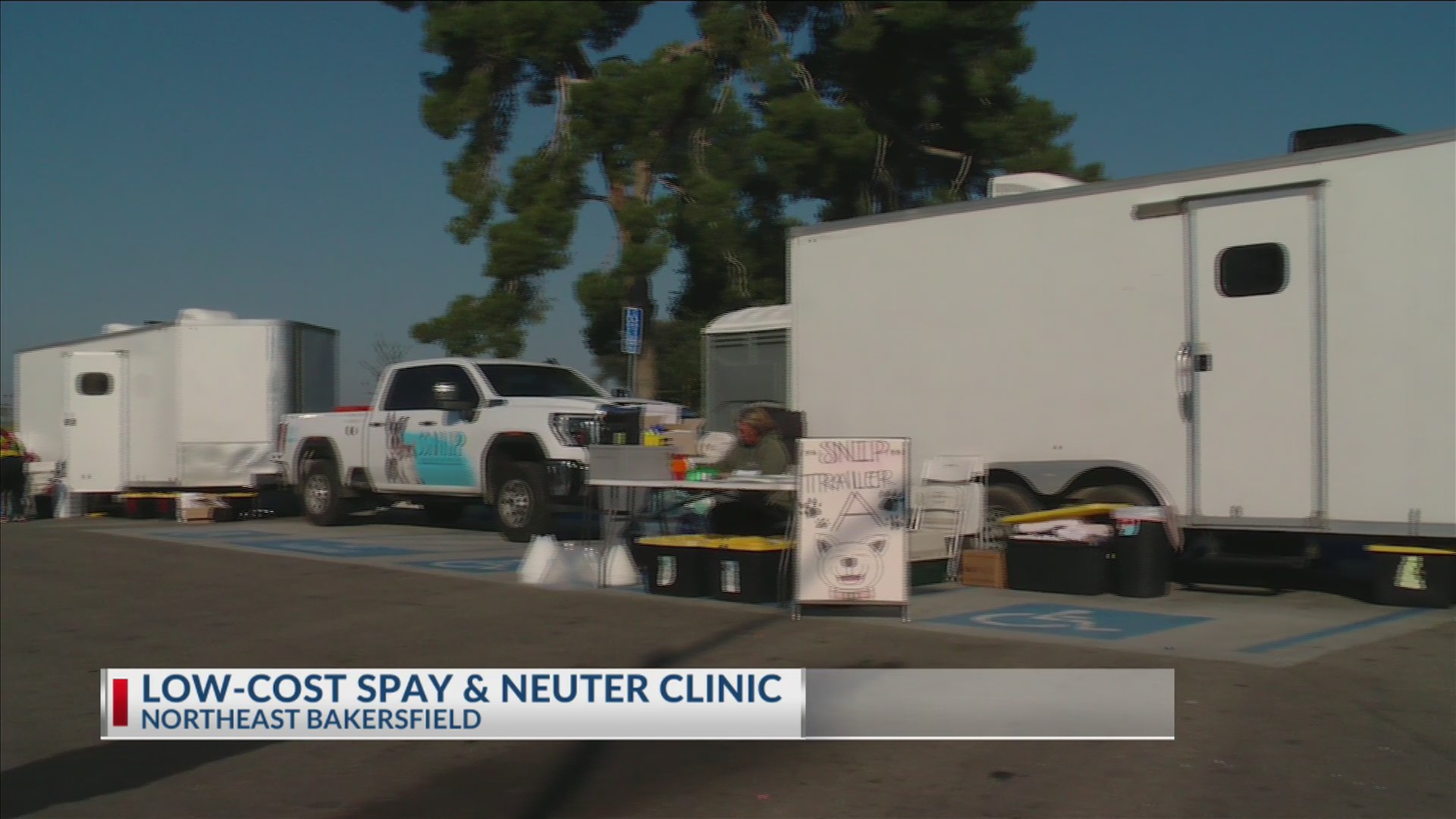 Low-cost spay and neuter clinic in northeast Bakersfield