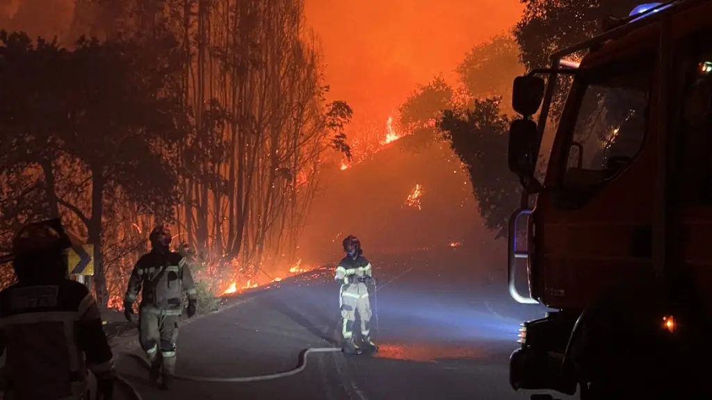 Incendio forestal en Coronel: brigadista imputado entregó insólita ...