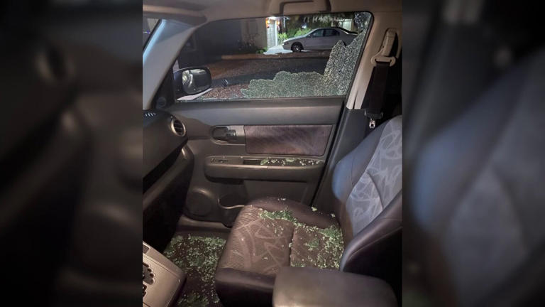 Owners on the hook for damage to cars Glendale neighbor allegedly shot at