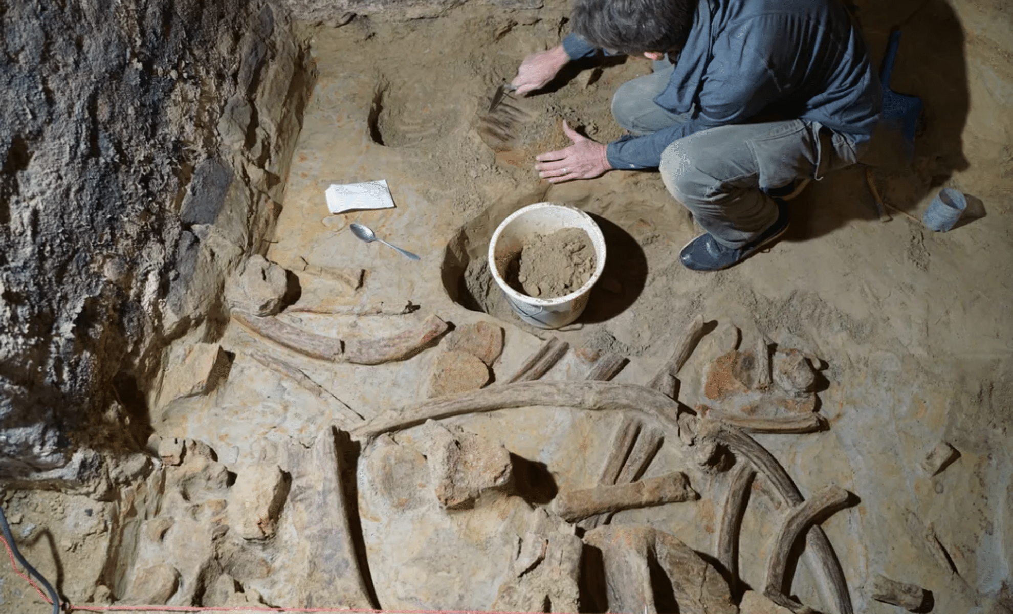 Winemaker was expanding his cellar and ended up making a 40,000-year ...