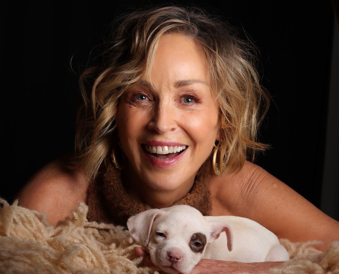 Sharon Stone adopts rescue puppy after falling in love with dog on ...