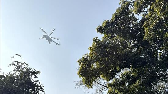 Delhiwale: Winter’s garden