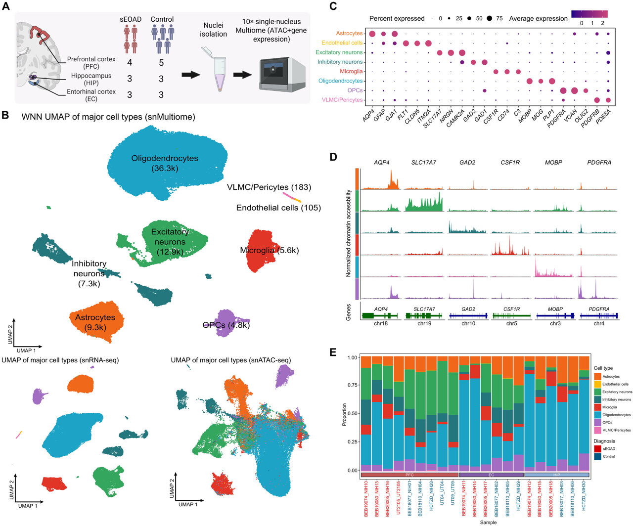 Mapping gene disruptions in sporadic early onset Alzheimer's disease ...
