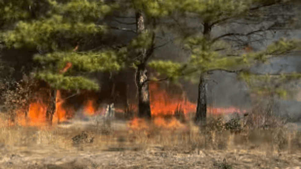 'Slow-moving': Crews fight 7-acre fire near Nichols