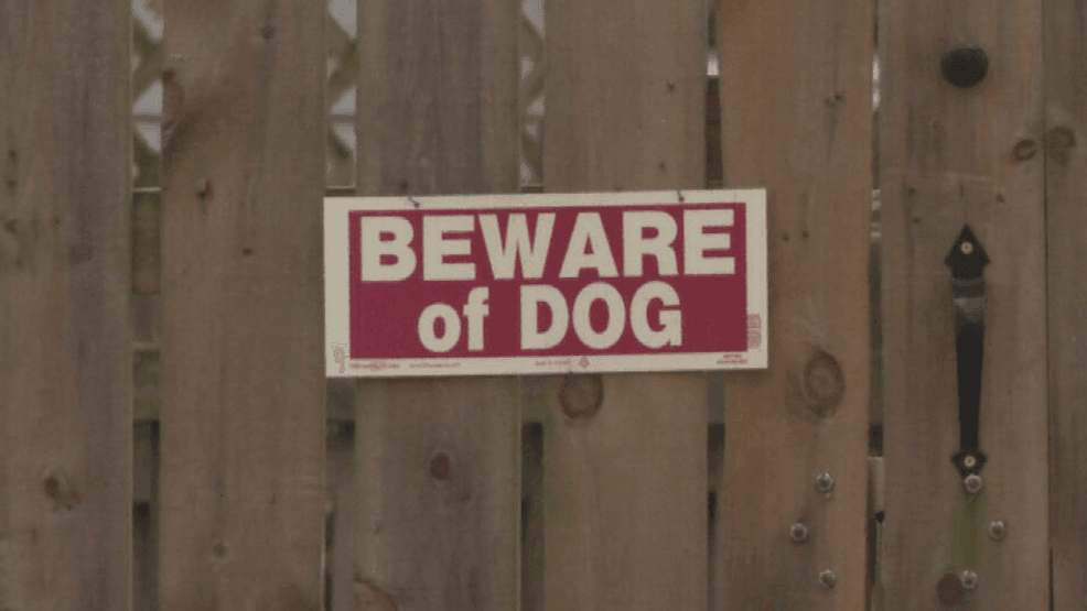 Pit bull attack highlights issue with dangerous dogs in Franklin County ...