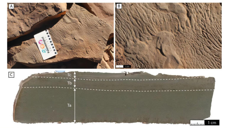 Signs of ancient life turn up in an unexpected place