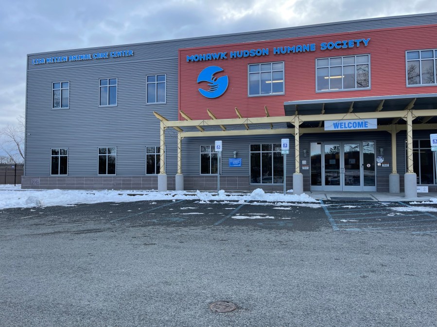 Dog dies after allegedly being abandoned outside Mohawk Hudson Humane ...