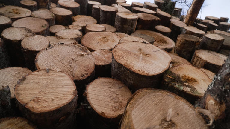 350 travailleurs touchés par la fermeture de la scierie Outardes