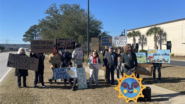 Environmental groups protest proposed natural gas power plant near ...