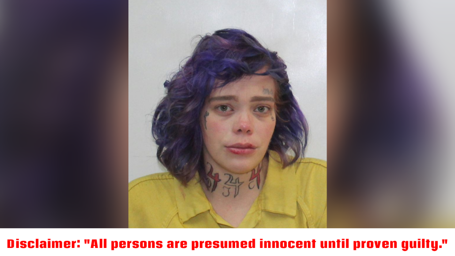 Prairieville woman faces felony drug charges after traffic stop