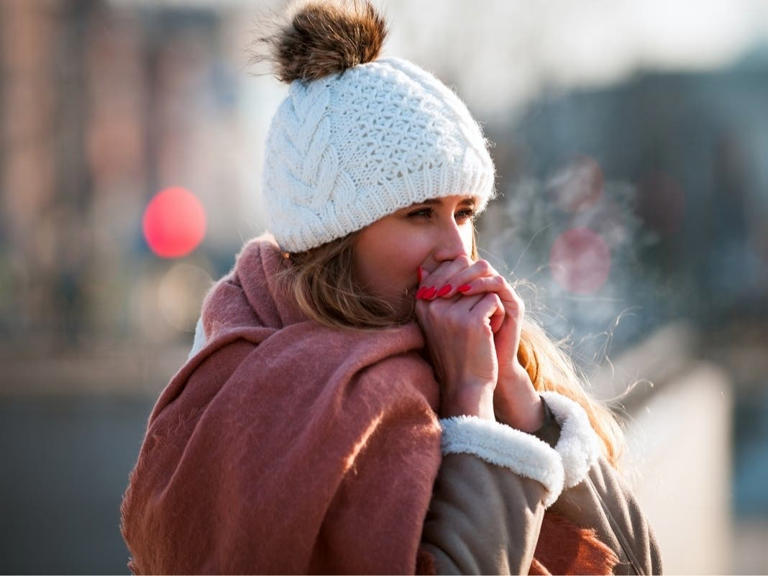 Back-to-back Arctic air blasts could bring below freezing temps to FL