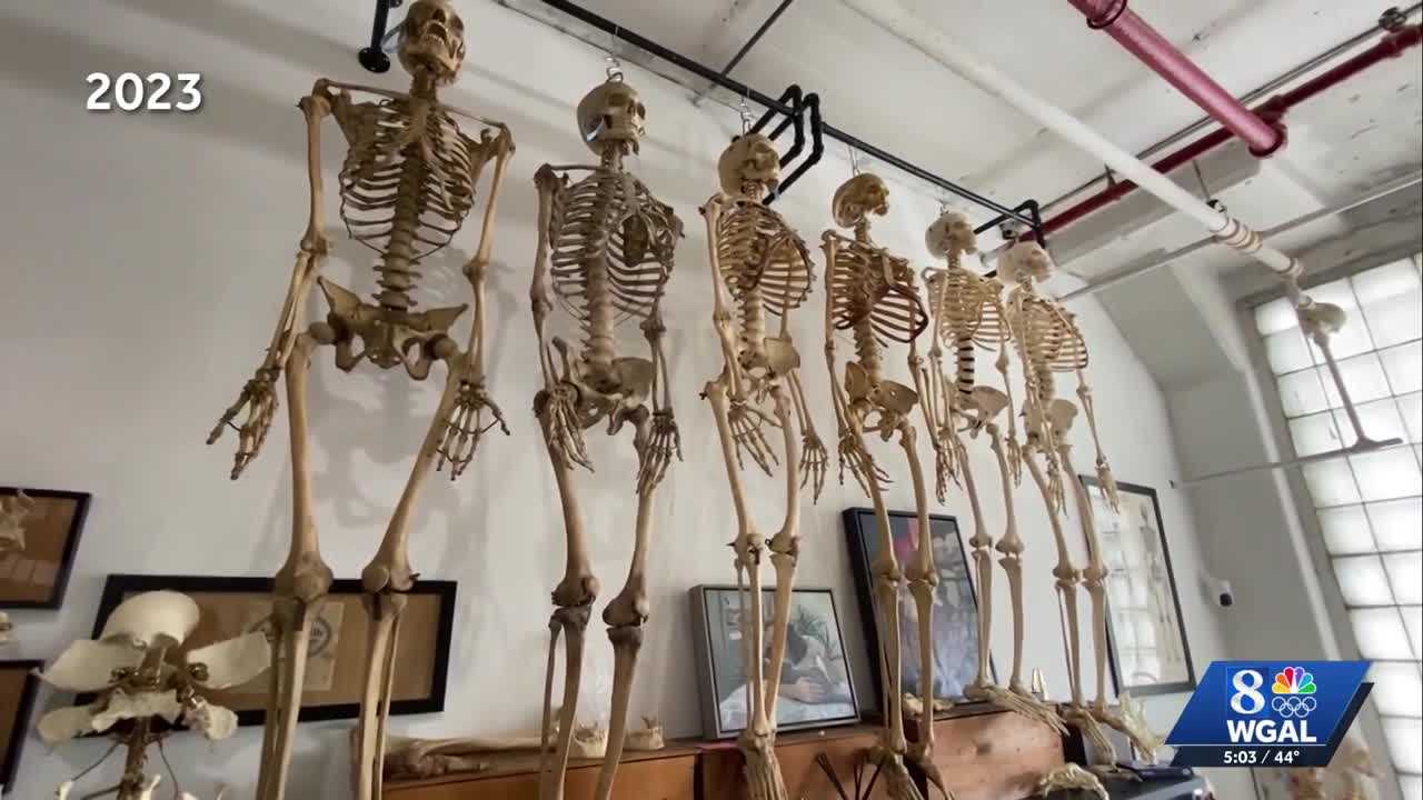 Human bones for sale? Case of Jonathan Gerlach sparks debate over legal ...