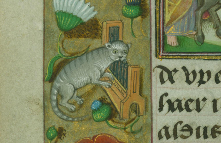 A cat left paw prints on the pages of this medieval manuscript when the ...