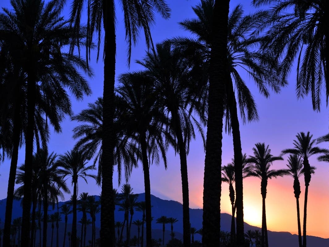 Palm Desert's blustery sunny weather sticks around