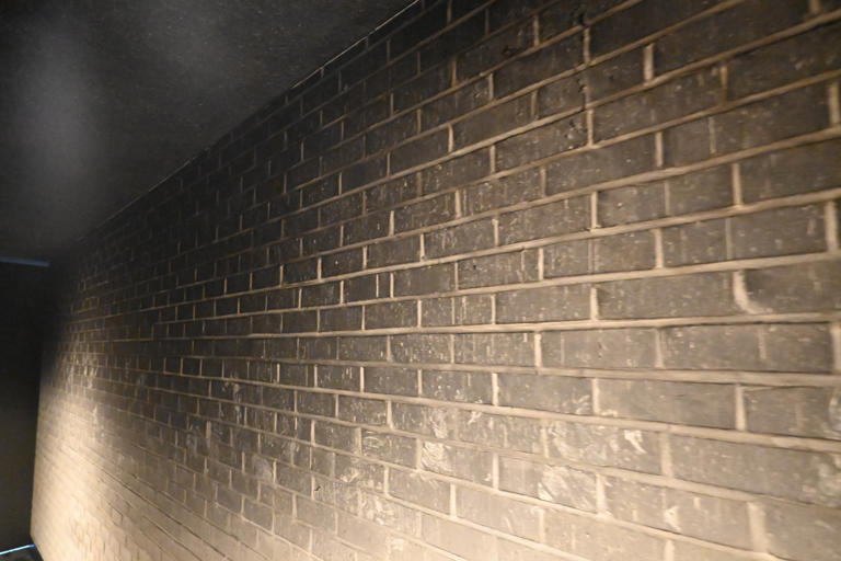 Alleged synagogue arsonist pleads not guilty; trial scheduled for next ...