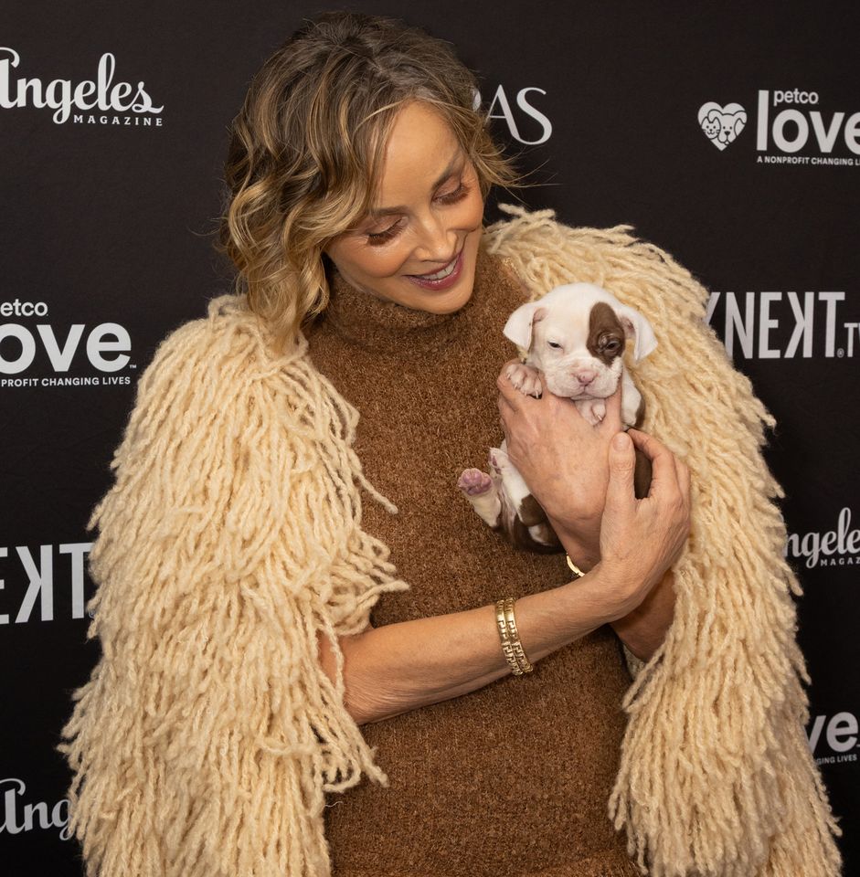 Sharon Stone adopts rescue puppy after falling in love with dog on ...