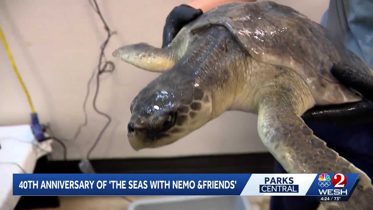 Disney's 'The Seas with Nemo & Friends' marks 40 years at Epcot