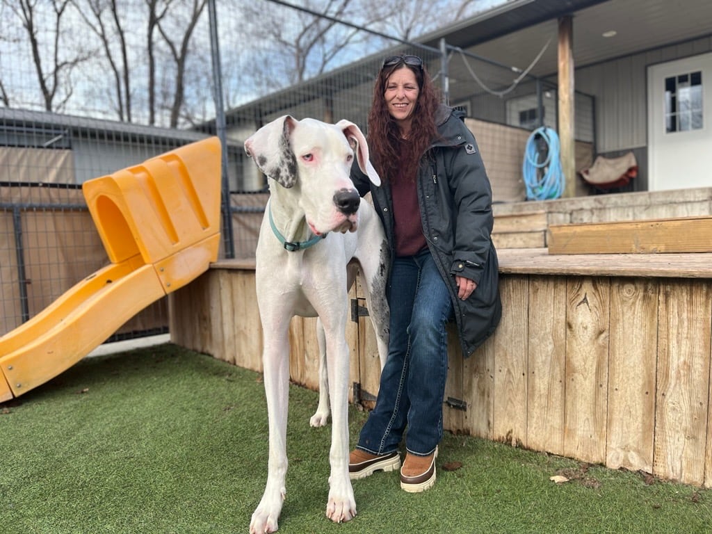 Black Hawk County rescue dog could currently be world’s tallest living dog