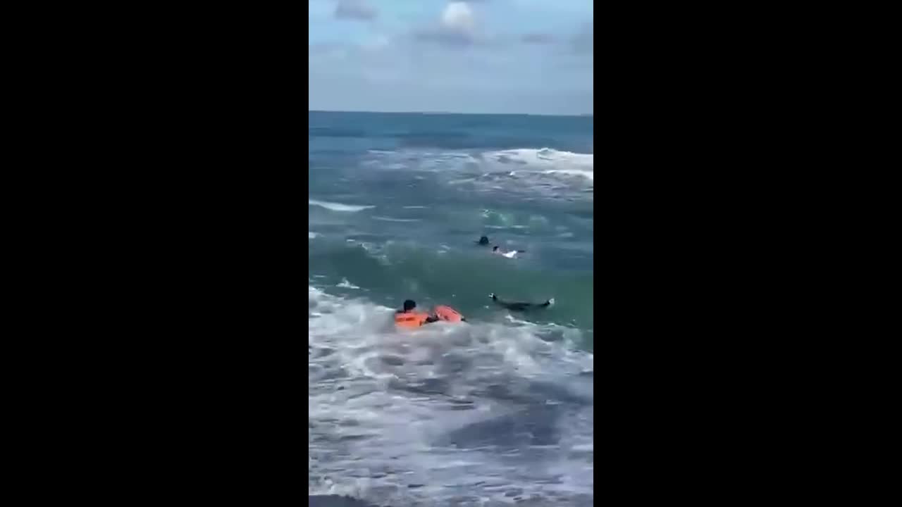 Quick coast guard rushes to rescue drowning swimmer from powerful waves