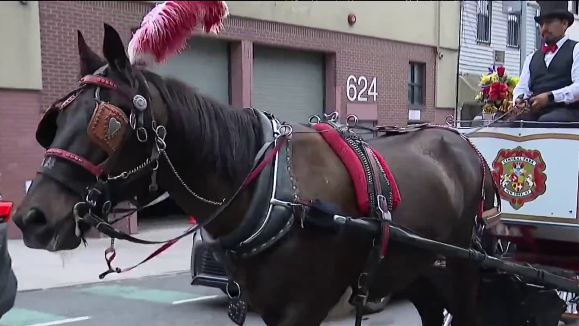Out-of-control horse carriage escapes Central Park, crashes into cars