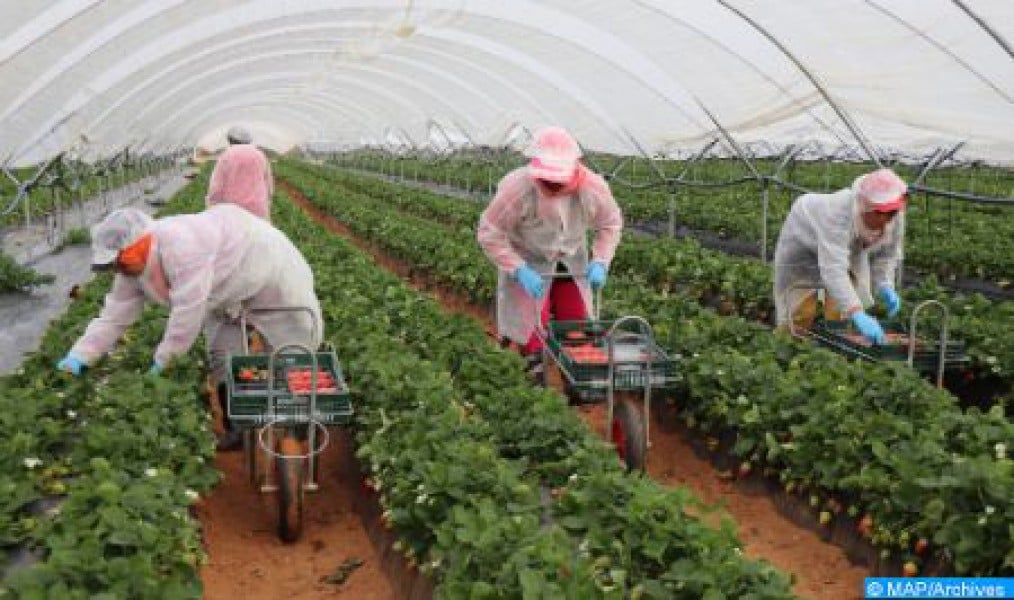 Spanish province of Huelva receives first Moroccan seasonal workers for ...
