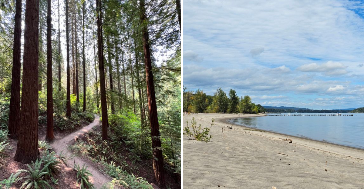 9 secret picnic spots in Oregon locals never tell tourists about
