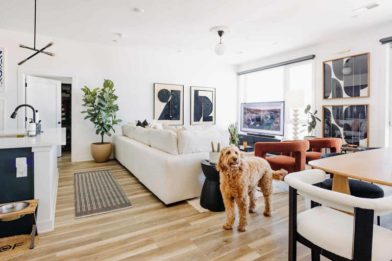 This cordless stick vacuum is so lightweight, it's perfect for small spaces