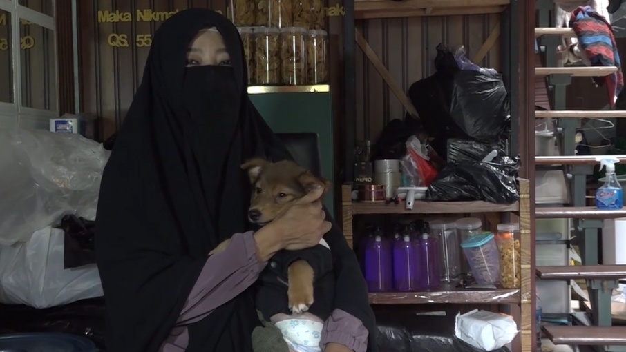 Indonesian woman devotes life to rescuing stray animals: Video