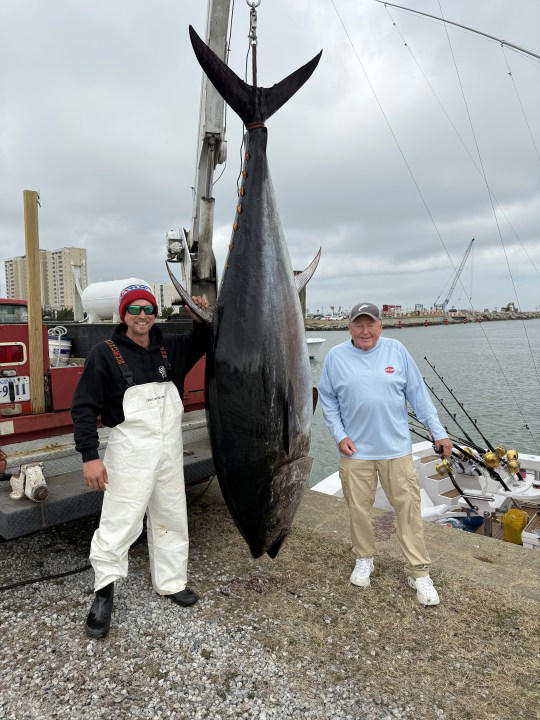 Reel big! Virginia Beach angler catches 832-pound bluefin tuna