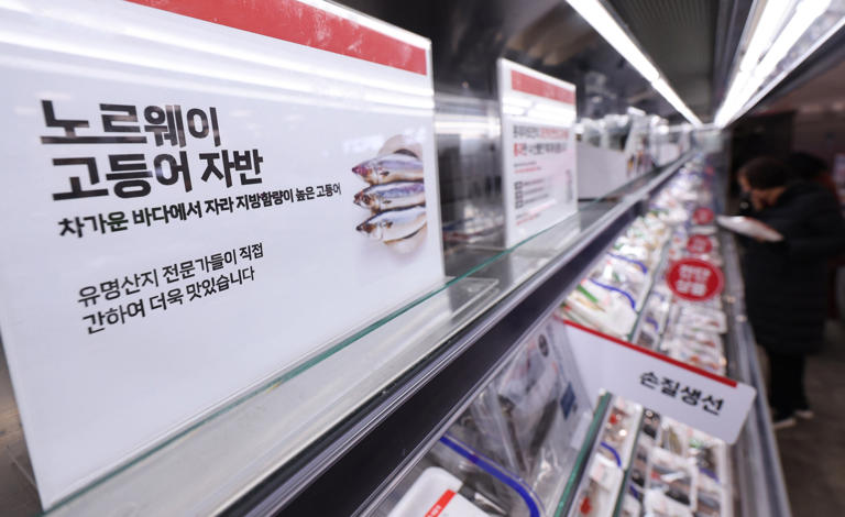 High exchange rate drives sixth straight monthly rise in import prices