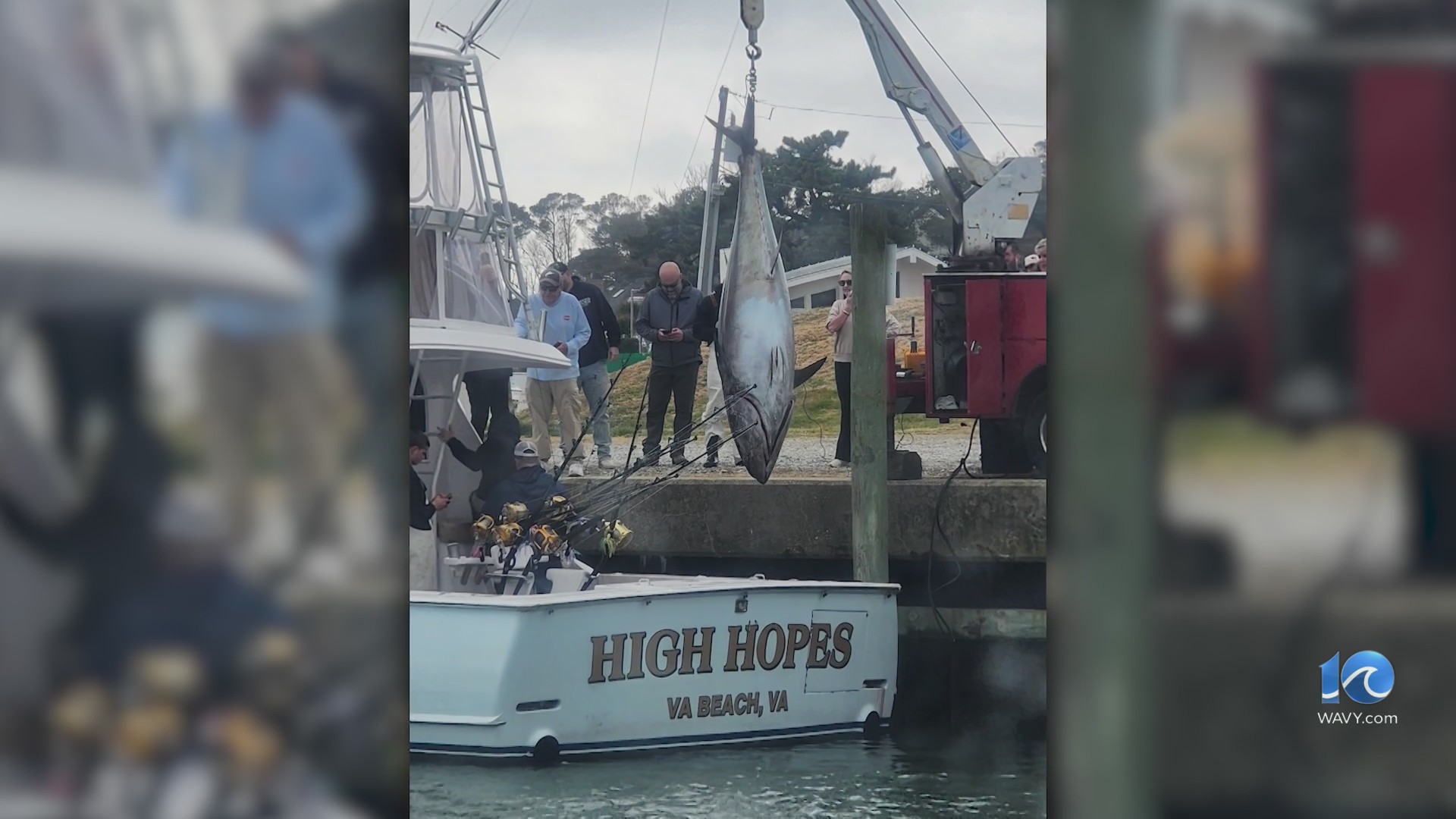 Reel big! VB angler catches 832-pound bluefin tuna