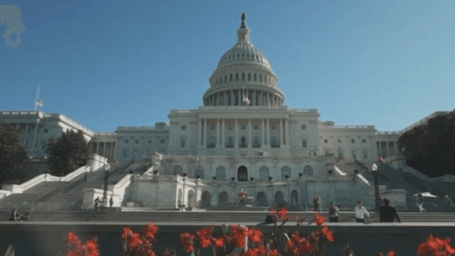 Senator Cruz discusses Dyess AFB, border security, and upcoming Senate ...