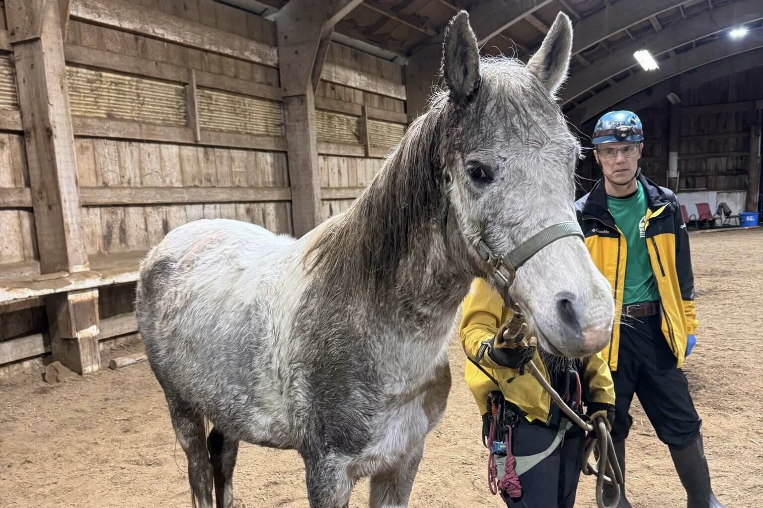 Animal response team, EFD rescue local horse