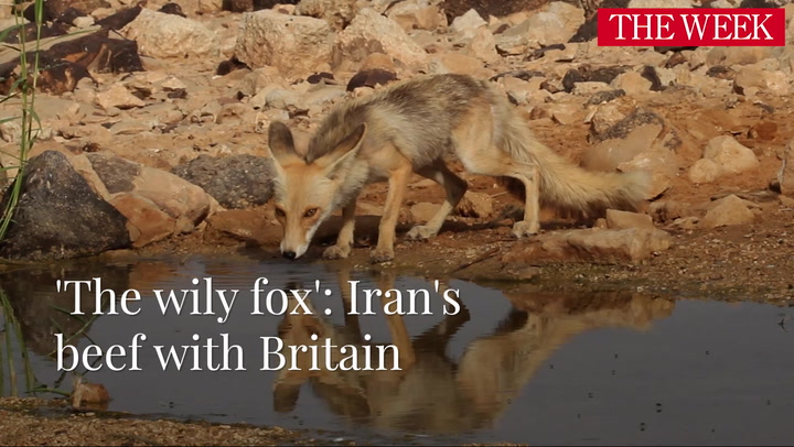 Why is Britain referred to as 'wily fox' in Iranian media?