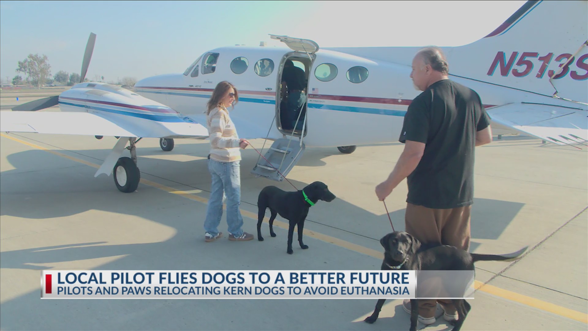 Local pilot flies dogs to a better future