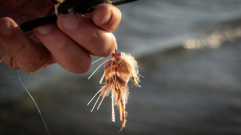 Wadeable white sandy flats, crystal clear water, cruising striped bass ...