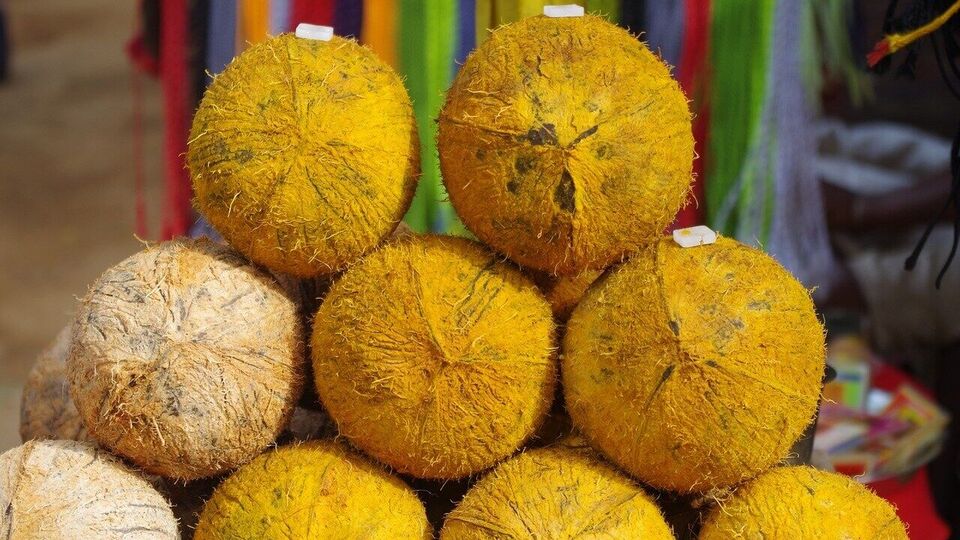 Happy Pongal 2026: Top 50+ wishes, WhatsApp images & more to share with ...