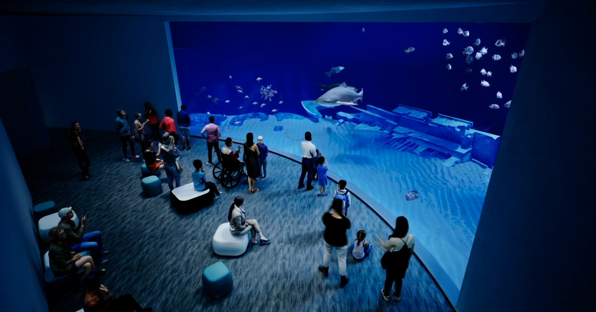 North Carolina Aquarium at Fort Fisher to close for 3-year expansion ...