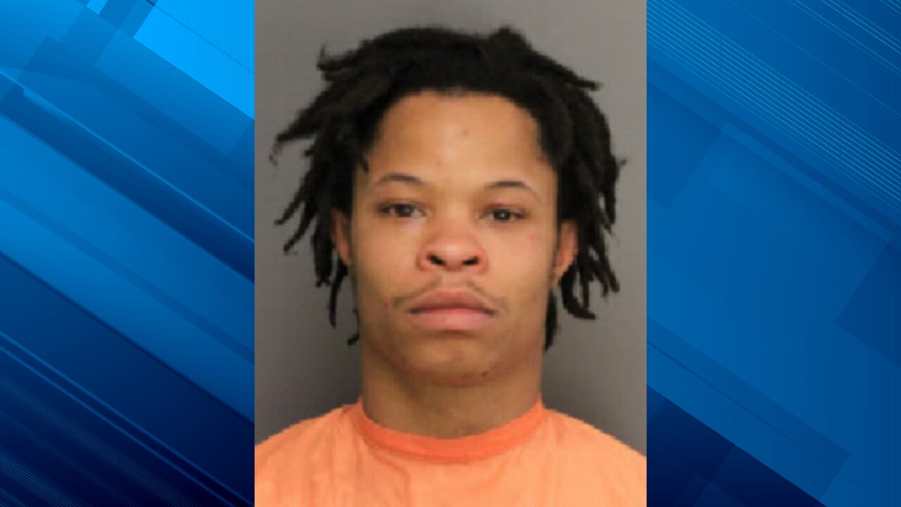 Man given 45-year sentence for killing woman in Florence County during ...