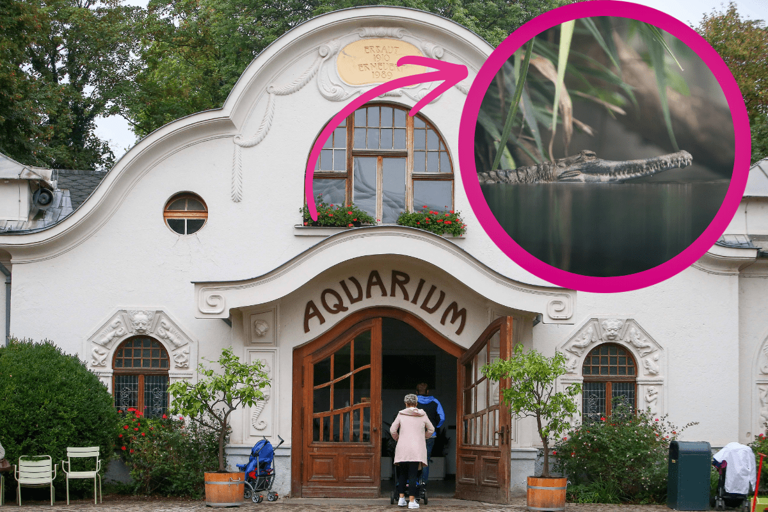 Zoo Leipzig rätselt! Tagsüber kein Lebenszeichen – nachts zeigt die ...