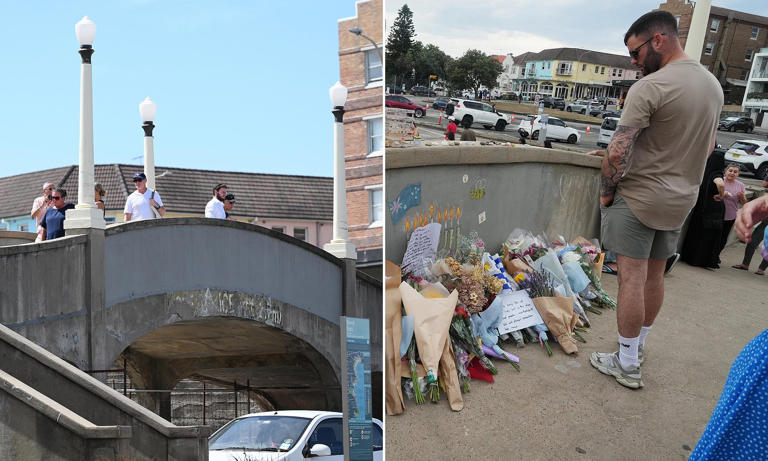 How Australia's most iconic beach could be transformed forever
