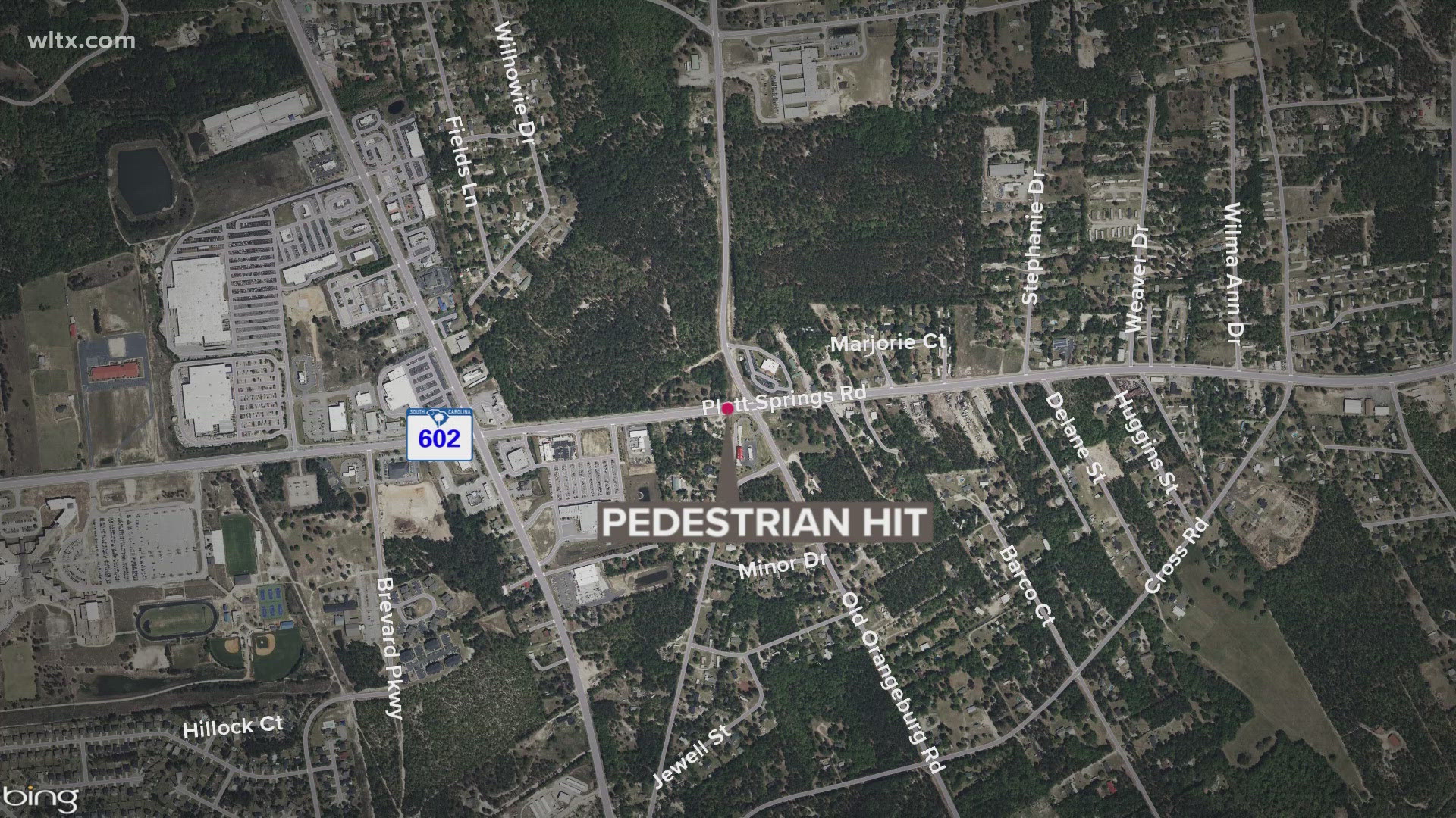 Pedestrian killed on Platt Springs Road identified
