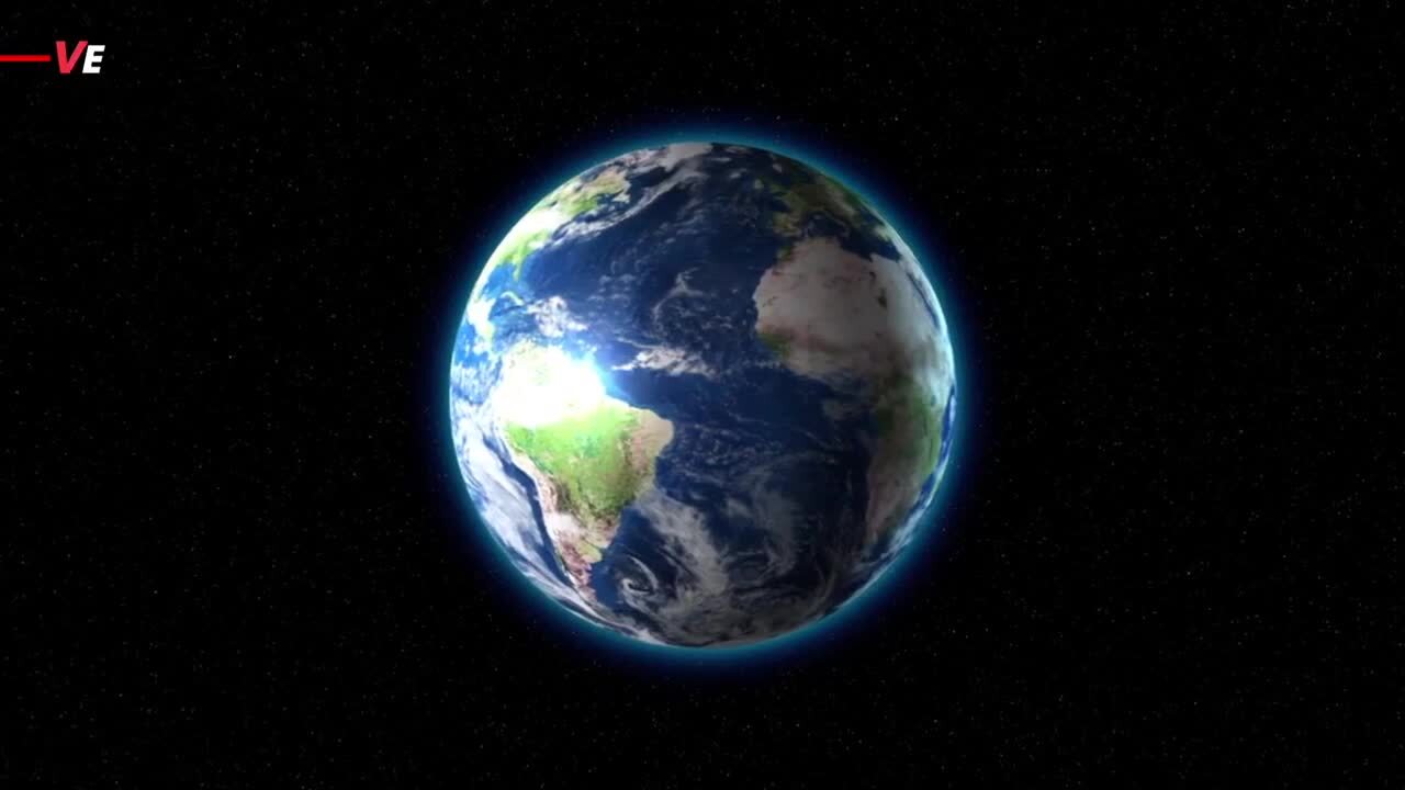 Researchers detected PFAS in wildlife almost everywhere on Earth