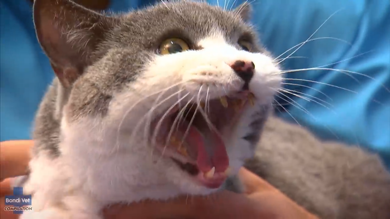 Why waiting "Just One Night" can be fatal and what happens next