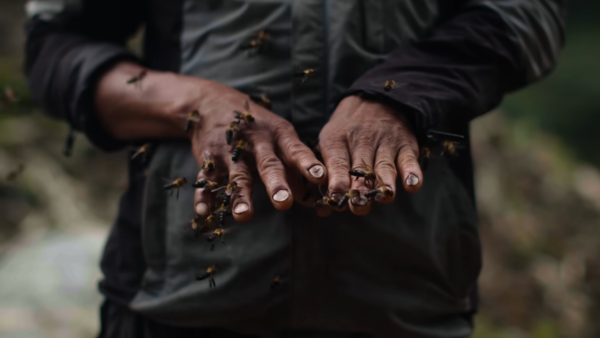 They risked death for this honey… the bees were the least dangerous part