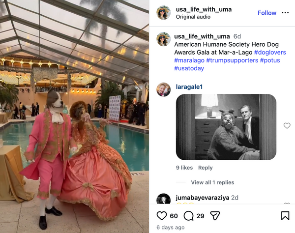 Mar-a-Lago gala featured dog masks and Marie Antoinette-style costumes