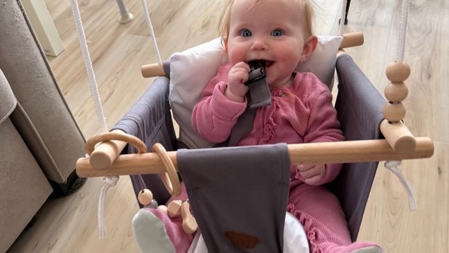 Terry Lee Boss pleads no contest in Allegan County Court, faces over 13 ...