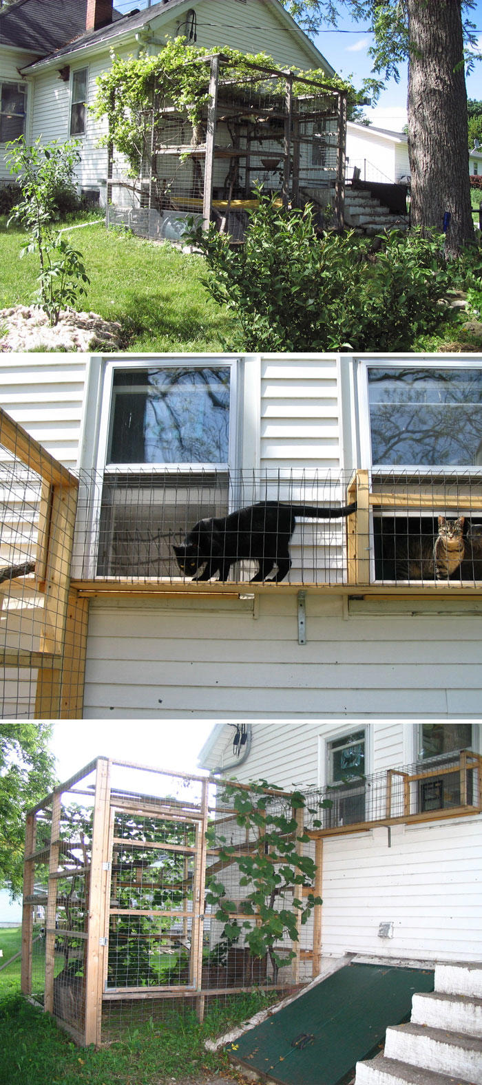 Cat patios, known as catios, are the latest way to spoil your beloved ...