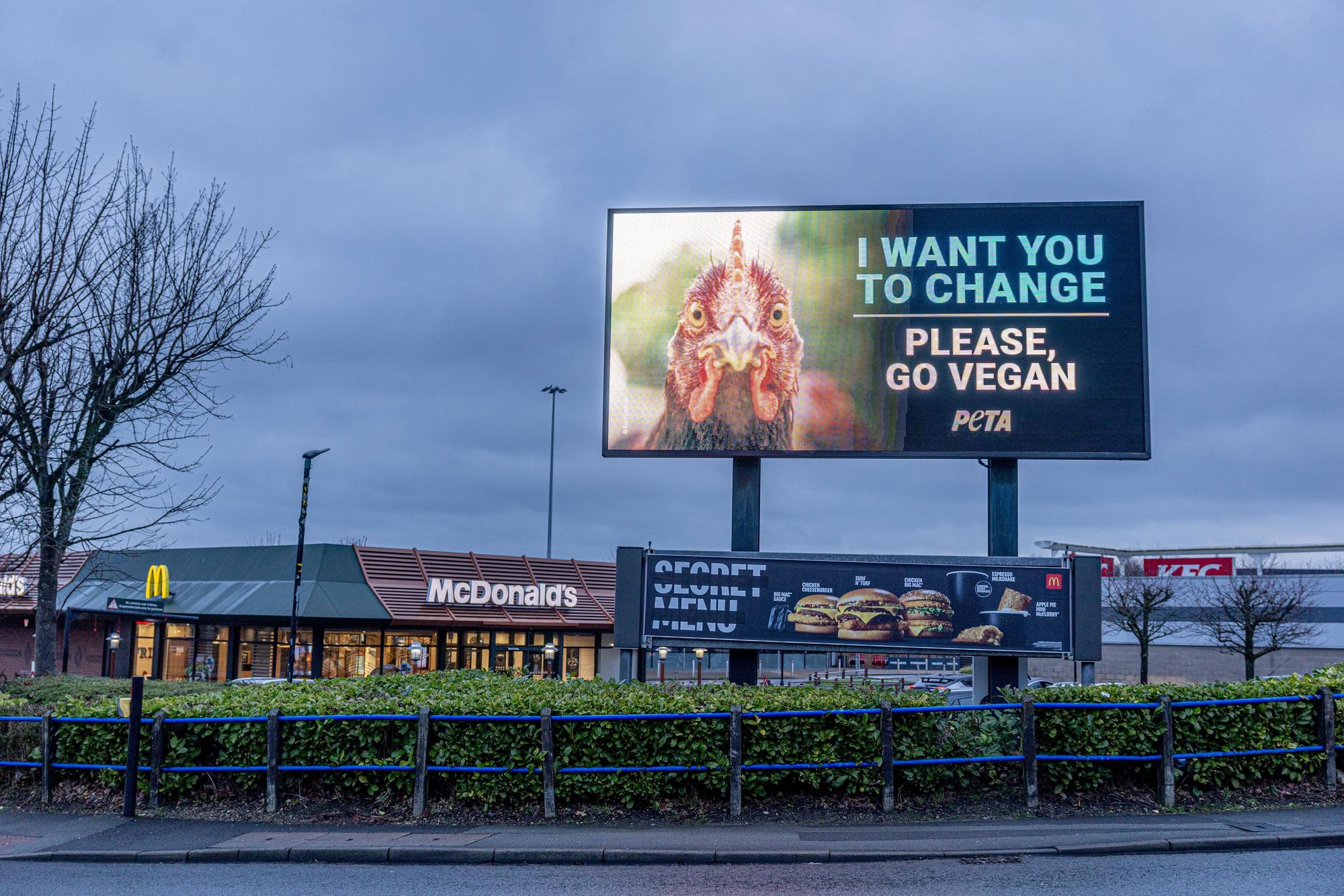 Giant chicken urges “unhealthy” Preston residents to go vegan